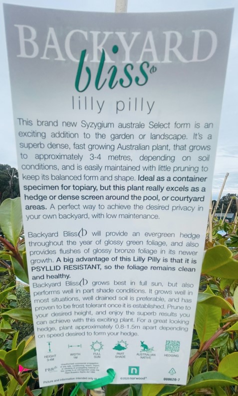 Lilly Pilly Backyard Bliss - Plants for Spaces