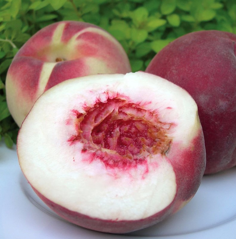 Peach Tree Anzac - Plants for Spaces